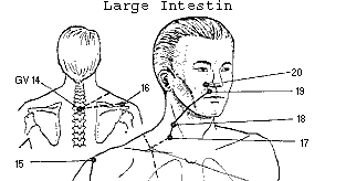 Titik Penting Meridian Usus Besar - Master Ilmu Pelet Dan Ilmu Gendam