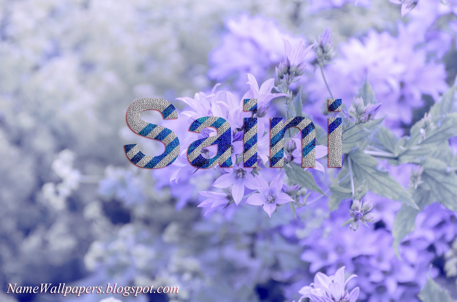 Saini Name Wallpapers Saini ~ Name Wallpaper Urdu Name Meaning Name ...
