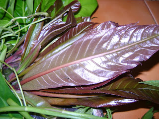 HOME MADE LAKSA PENANG STLYE: NASI ULAM RESEPI PULAU PINANG