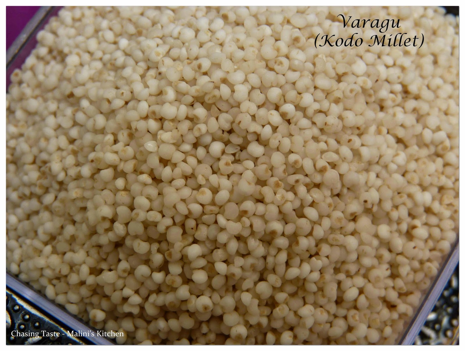 Chasing Taste: Introduction to Millets (Varagu, thennai, saamai ...