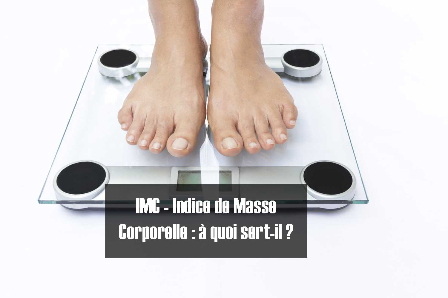 La phytothérapie : quand tendance ne veut pas dire nouveau