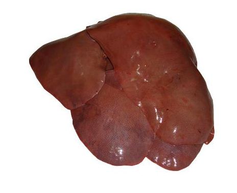 salud y belleza: La importancia de comer higado