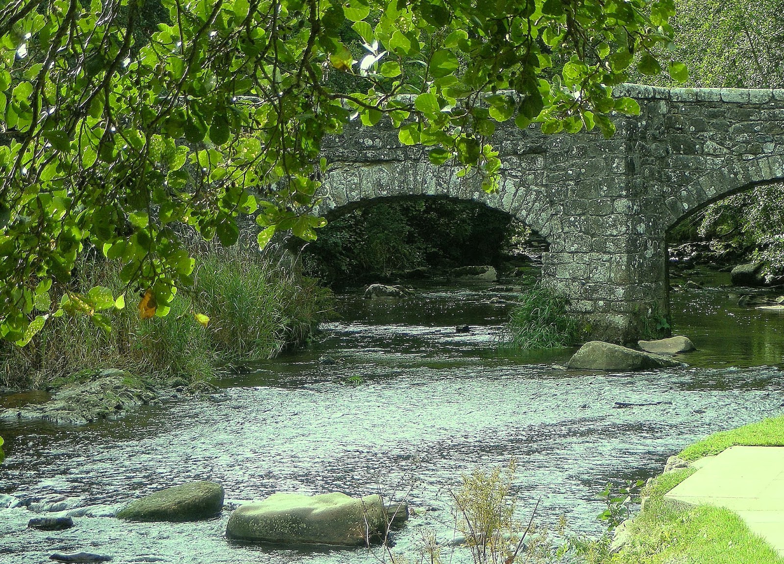 Embrace the Weather: Fingle Bridge, Devon. Ham, egg, chips and a pint ...