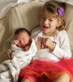 Uncommon Sense: Review: The AMDi iAdapter case for iPad