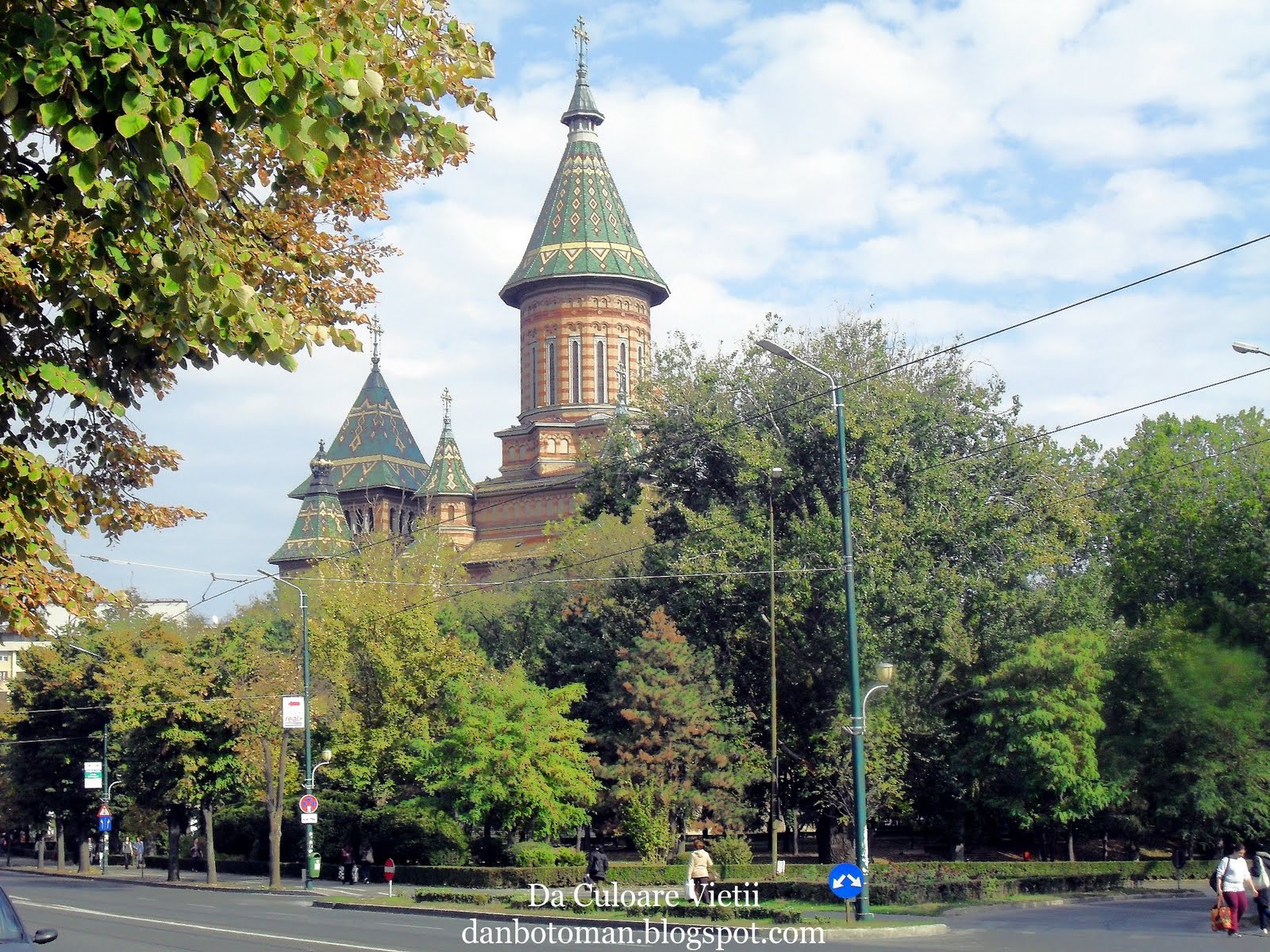 Da Culoare Vietii: S-au intors ciorile la Timisoara