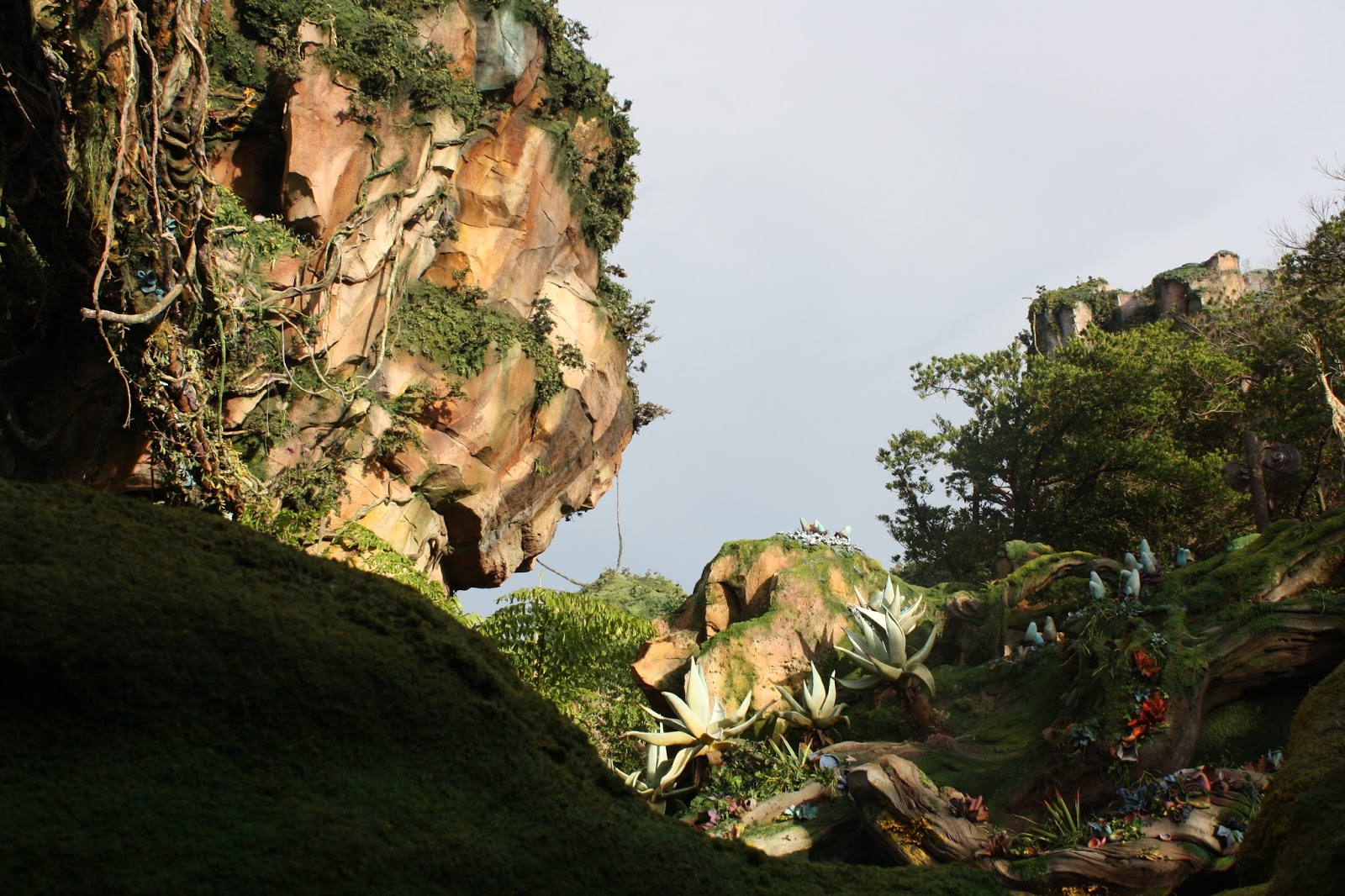 Pandora: The Food of AVATAR - Making Ordinary Magic