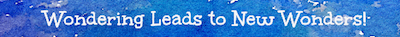 Beyond LiteracyLink: Celebrate As a Wonder Lead Ambassador