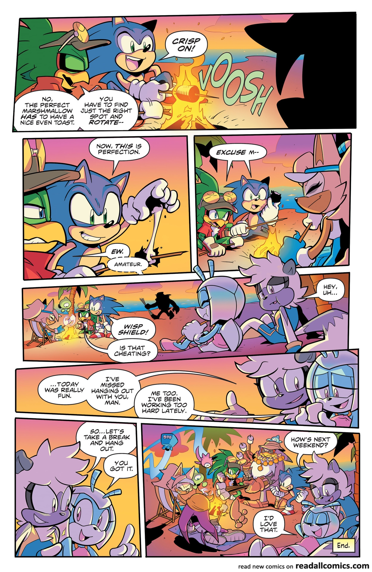 Idw Endless Summer Sonic The Hedgehog 001 2023 Readallcomics