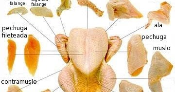 Crónicas de un Monigote: La anatomía del pollo y del pavo.