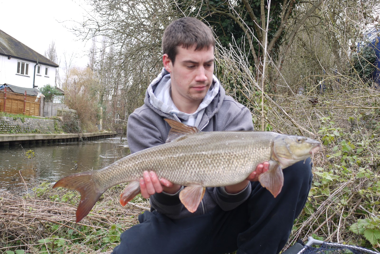 James' Angling Adventures.: Chub Fishing