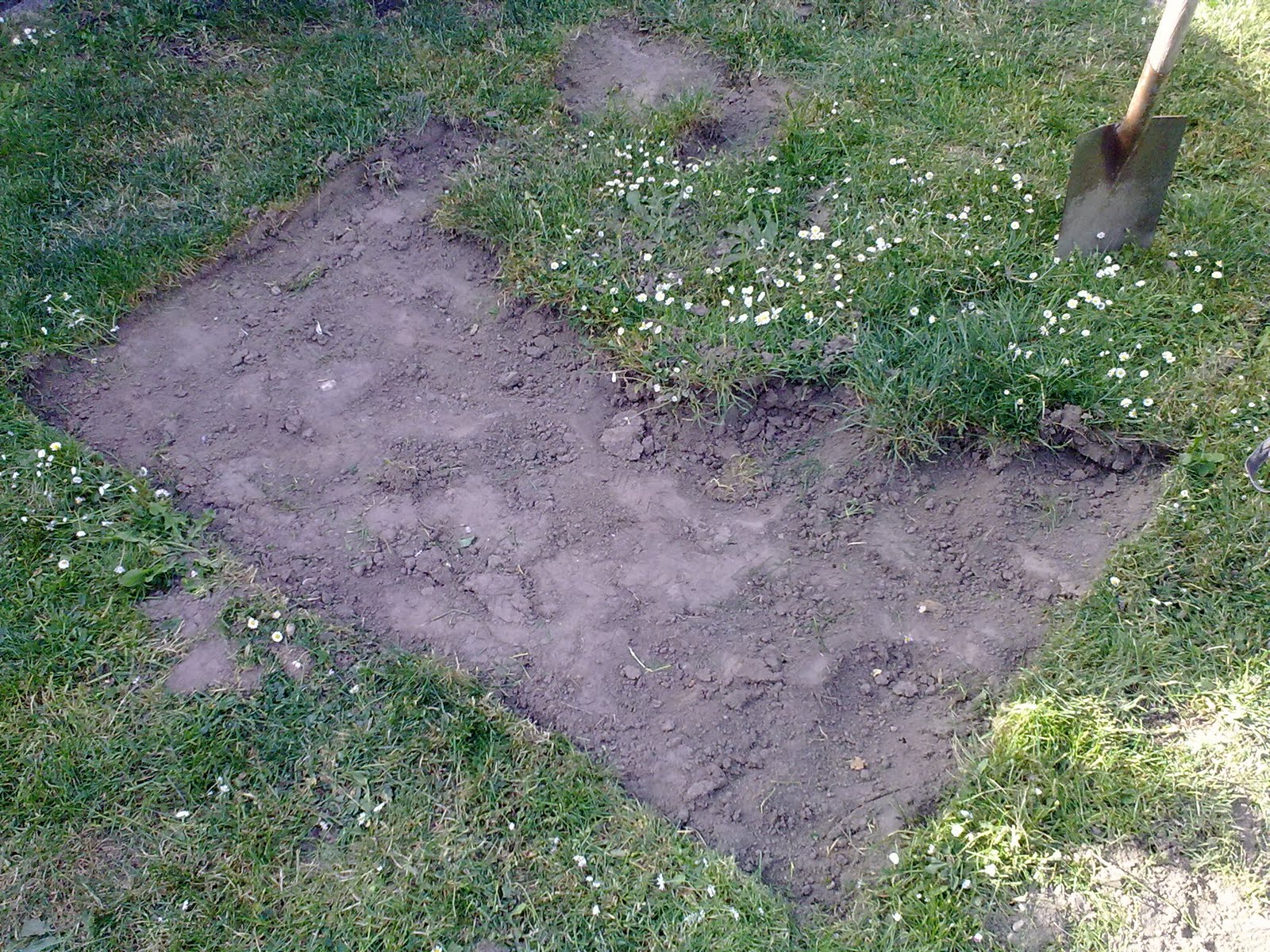 Biofreude - Spaß am BIO: Grasnarbe entfernen