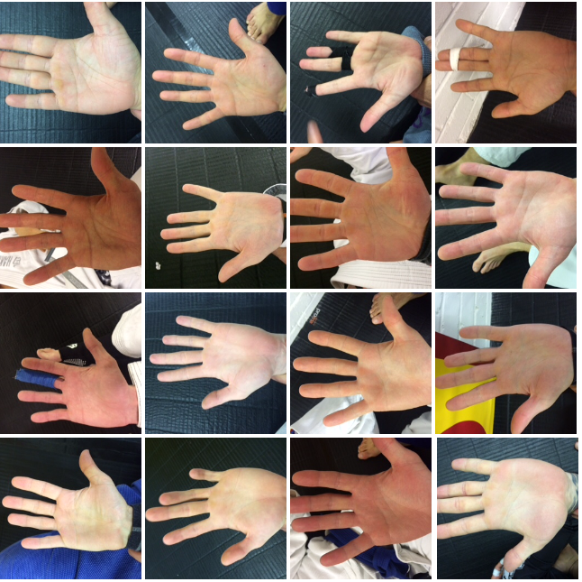 Grappling and BJJ tips by Liam The Part-Time Grappler Wandi: Surviving ...