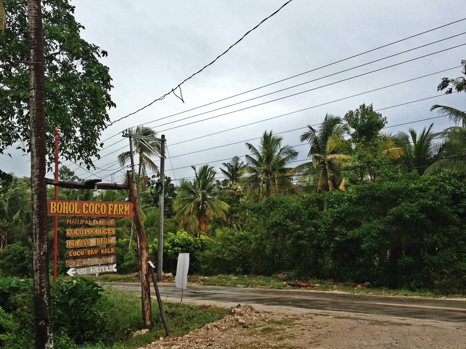 Oh My Gee Its Me! : Bohol Coco Farm Experience