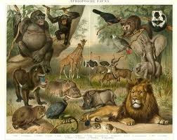 Biolologia la diversidad de la vida: Cuarta extinción masiva: pérmico ...