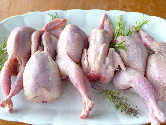 MY KITCHEN IN SPAIN: THE QUAIL HAVE HATCHED!