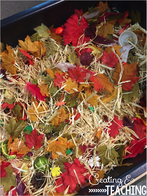 Sensory Table Visual Support {FREEBIE} | creating & teaching