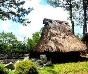 The Igorot Chronicles