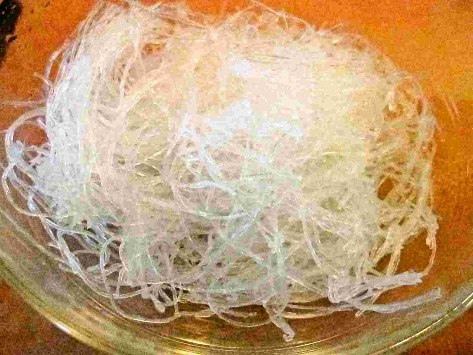 Recipes for Tom: Yum woon sen / bean noodle salad