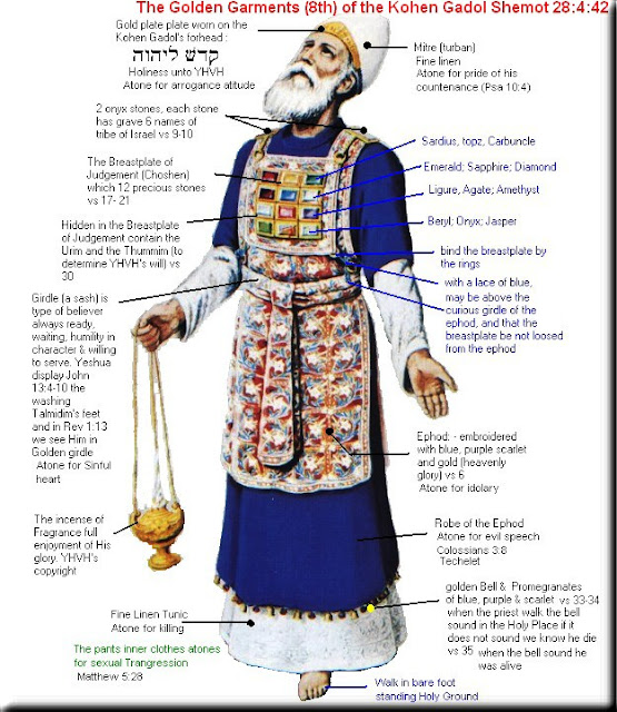 Aharon Hacohen - o Sumo Sacerdote - Tropicasher