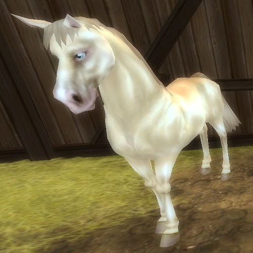 Star Stable Daily : Horse Breeds