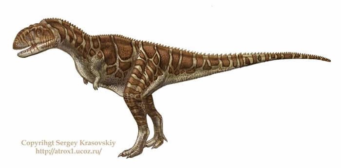 Extinct Animal of the Week: The Incomplete Indosuchus