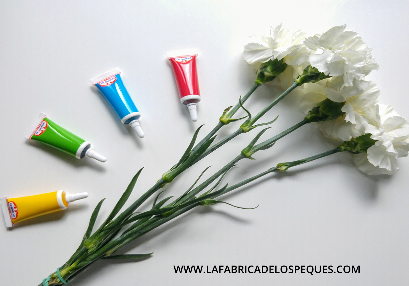 Colorante Alimentario De Flor De Clavel Blanco