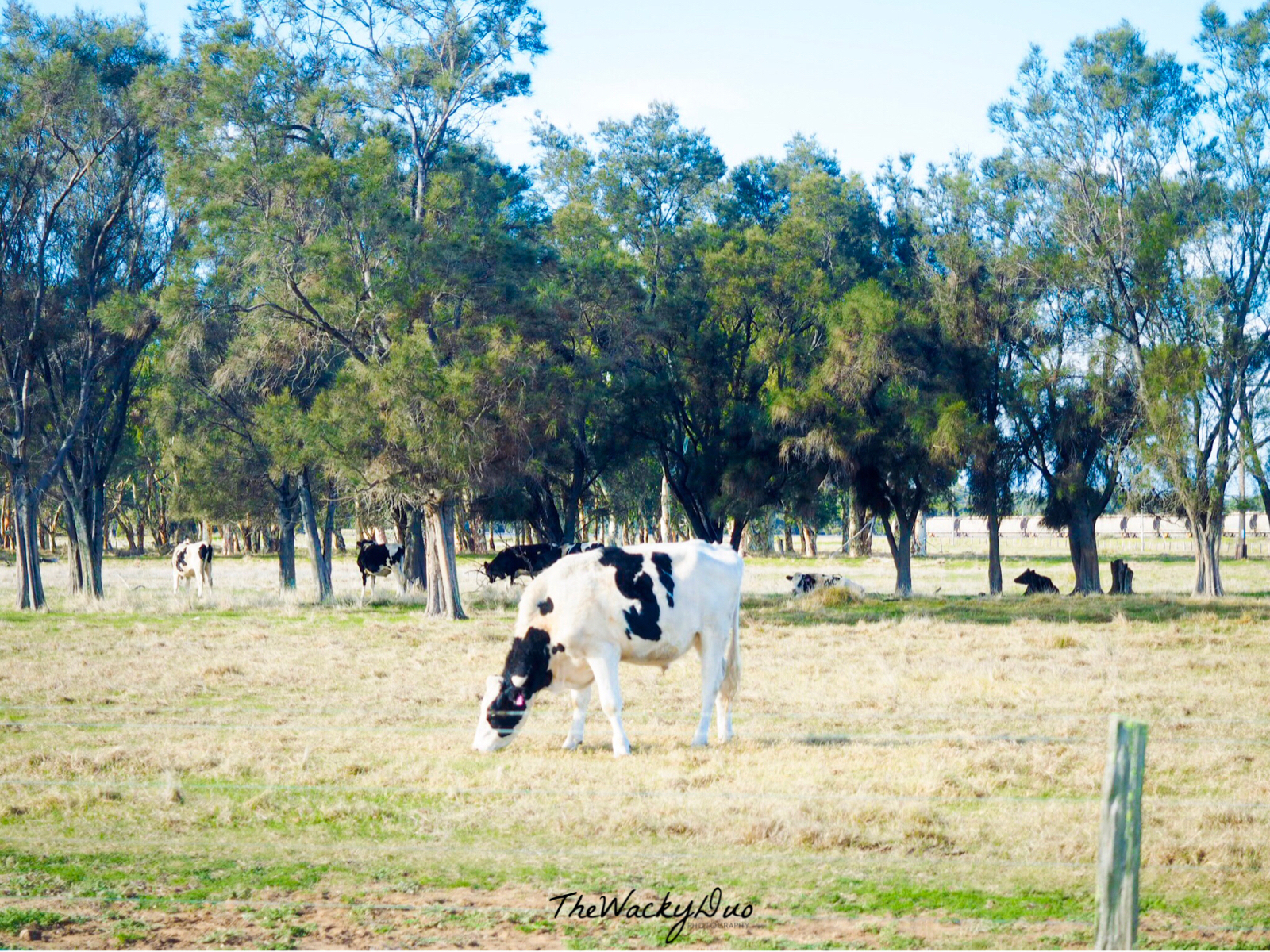 Margaret River Perth Self Drive Holiday Blog : One week Itinerary ...