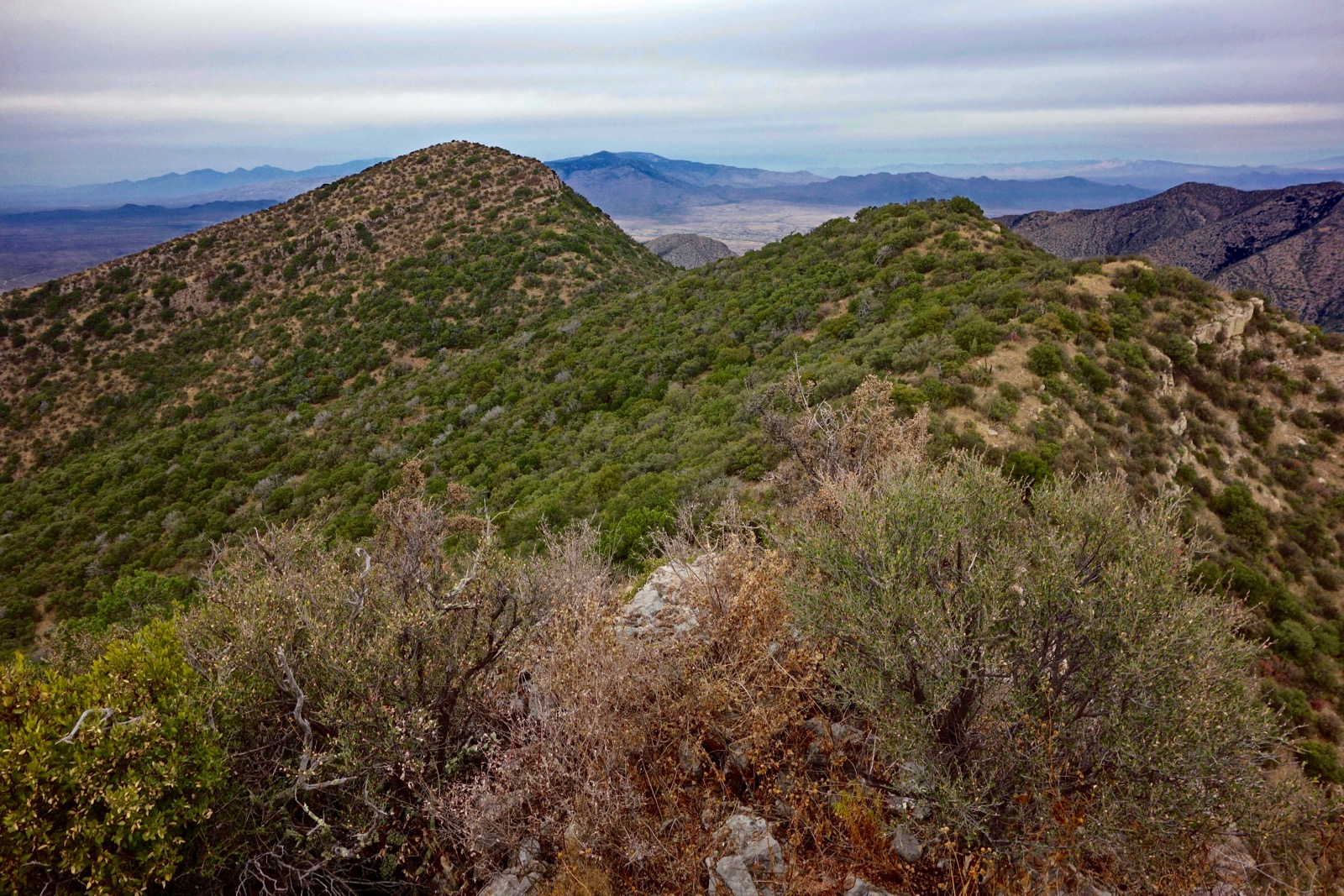 Earthline: The American West: Apache Peak, 7,711'; French Joe Peak ...