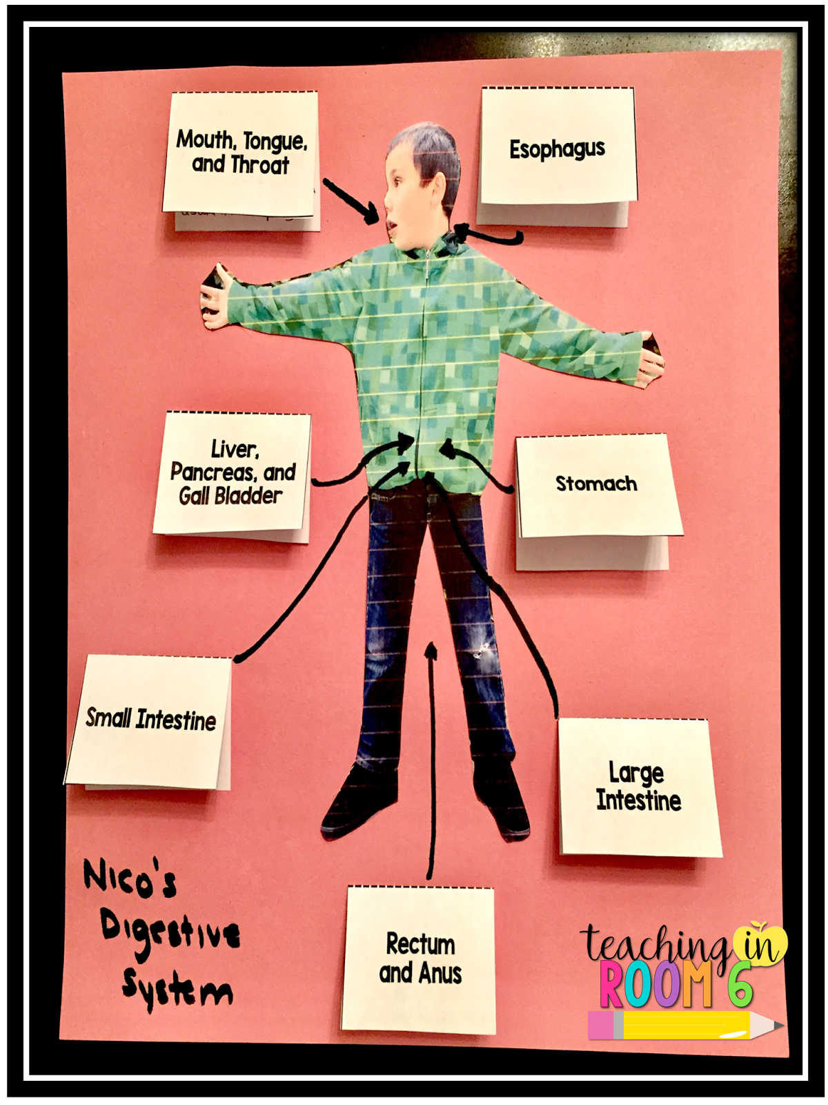 Digestive System Project For Kids