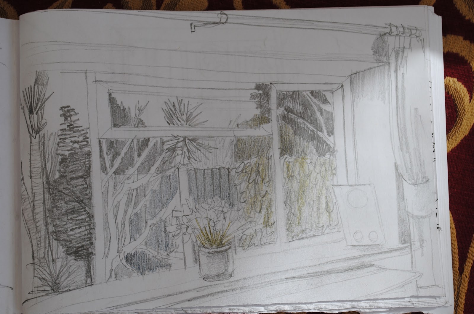 Helen's Painting OCA Blog: Exercise – View from a window or doorway
