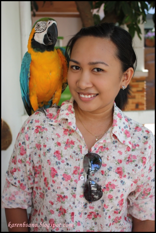 Baluarte ni Chavit Singson ~ Dream! Explore! Discover!