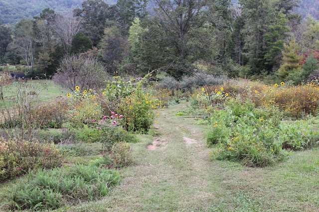 Romancing the Home: Back to Blackberry Farm