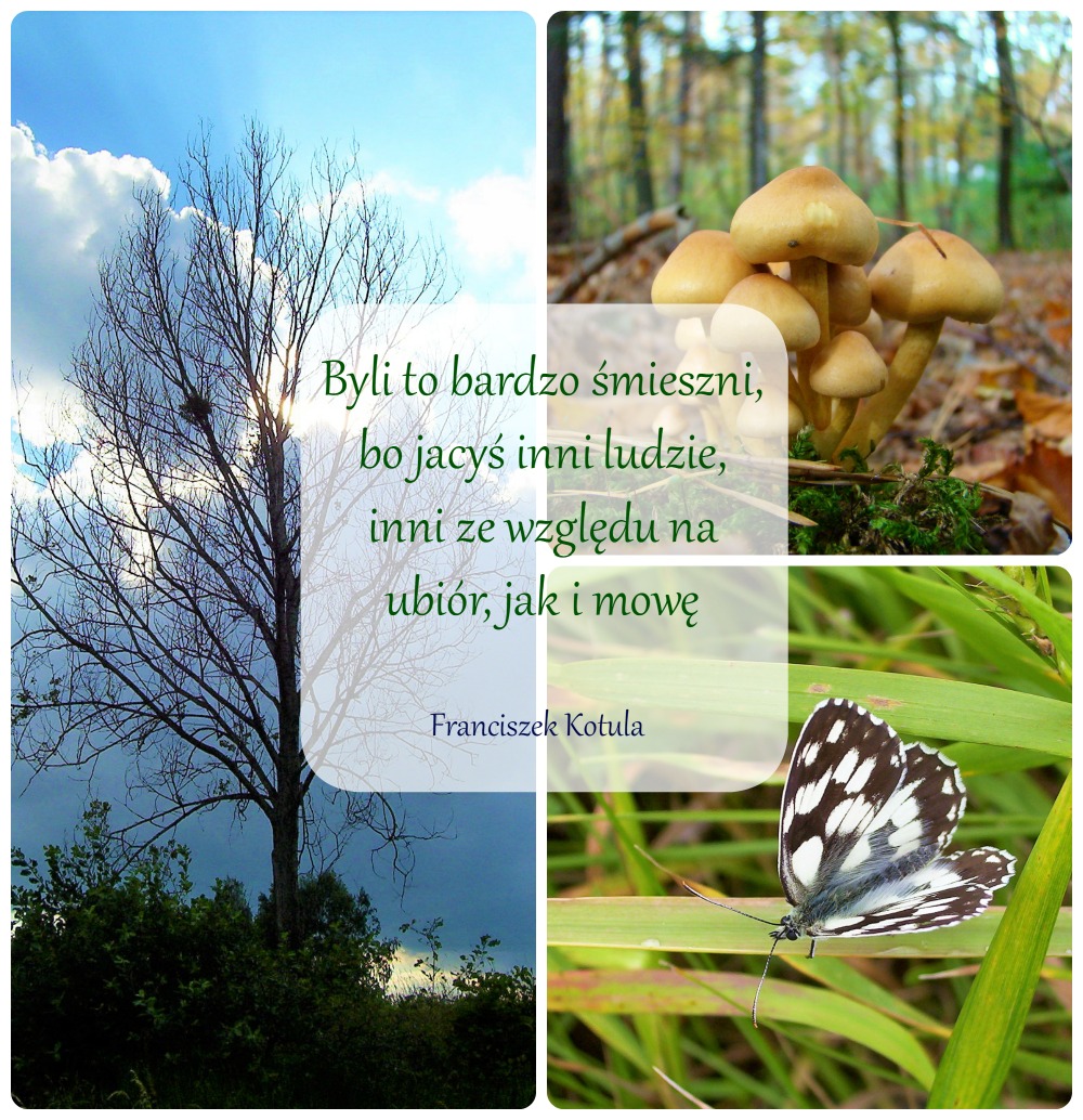 Trzeci Talerz - podkarpacki blog kulinarny: Lasowiacy i kuchnia lasowiacka