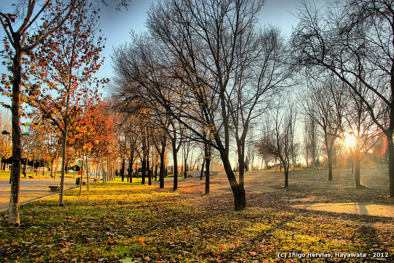 El blog de Hayawata: En el parque por la tarde