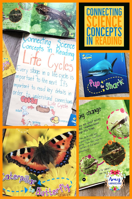 Learning Lessons With Amy Labrasciano: Connecting Events in ...