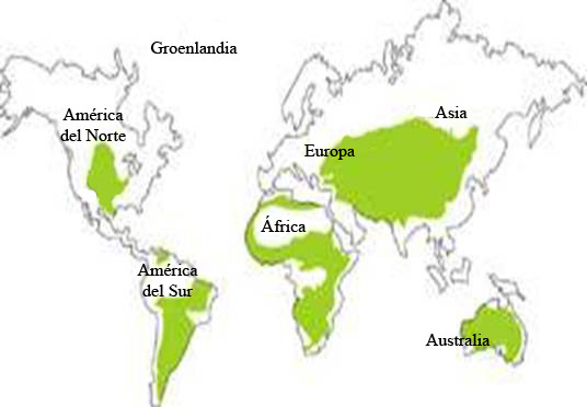 ECOSISTEMAS: ESTEPA Y PRADERA