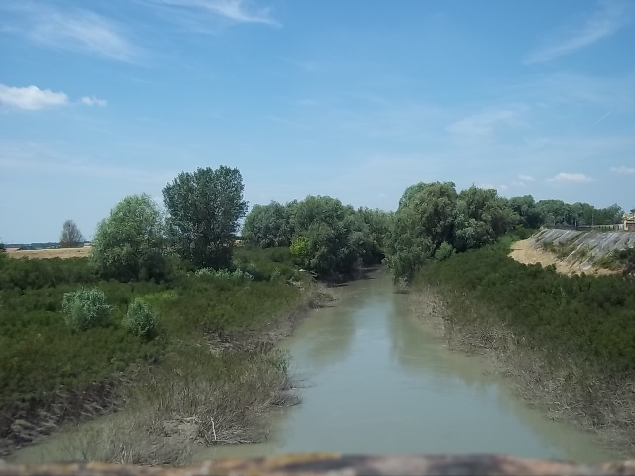 ...impressioni...espressioni...: "la Concordia" ringrazia...e riparte...