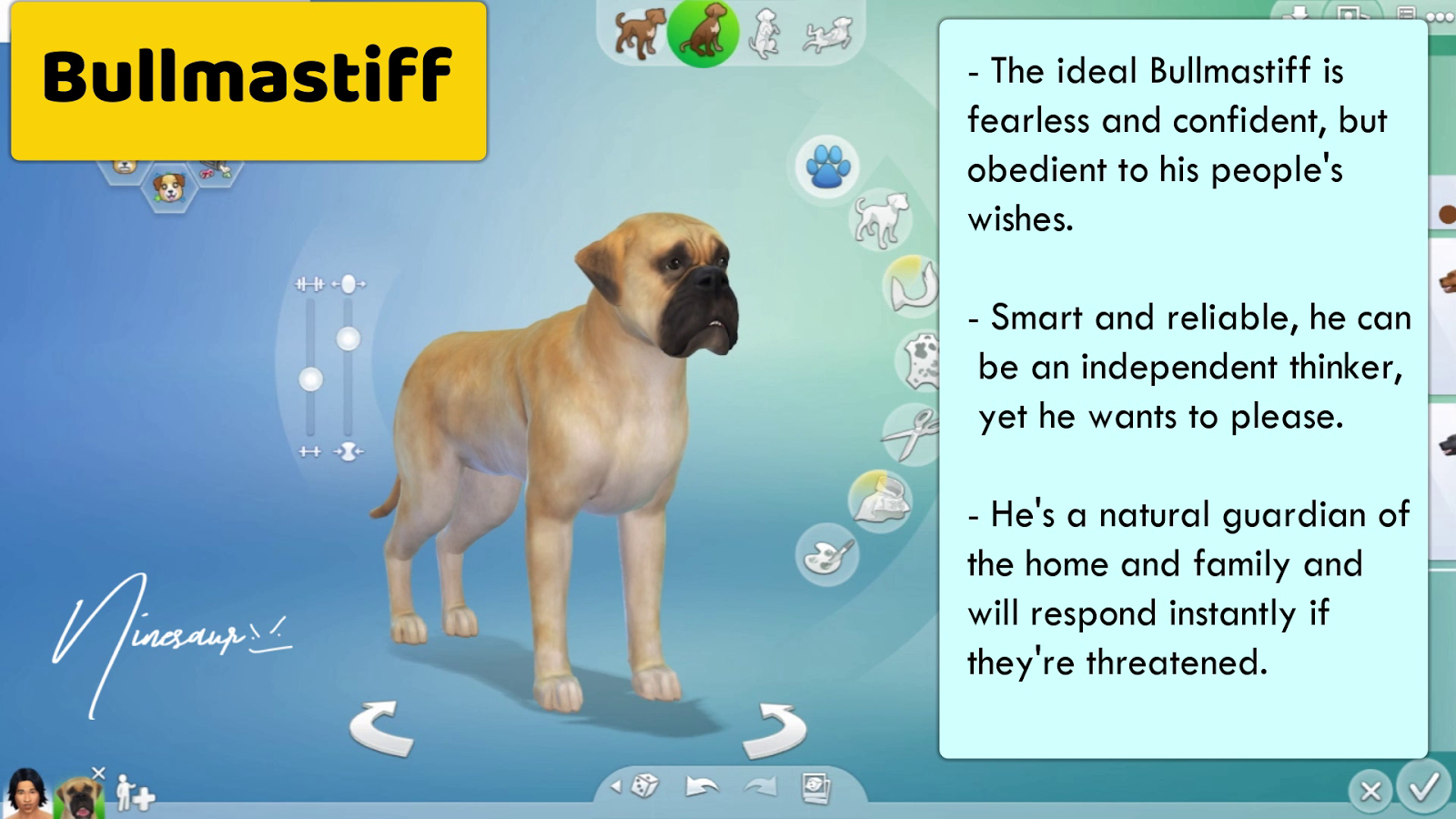 15 Pictures About sims 4 dog breeds list - Dogs | Cats
