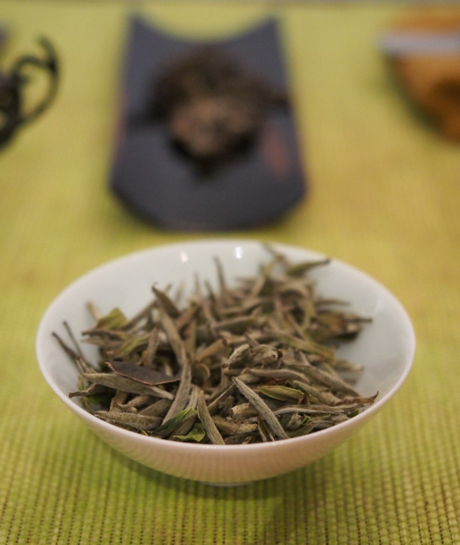 China: Tea Tasting at Wan Ling Tea House in Shanghai