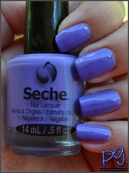 Seche Takes Chances - Polish Galore
