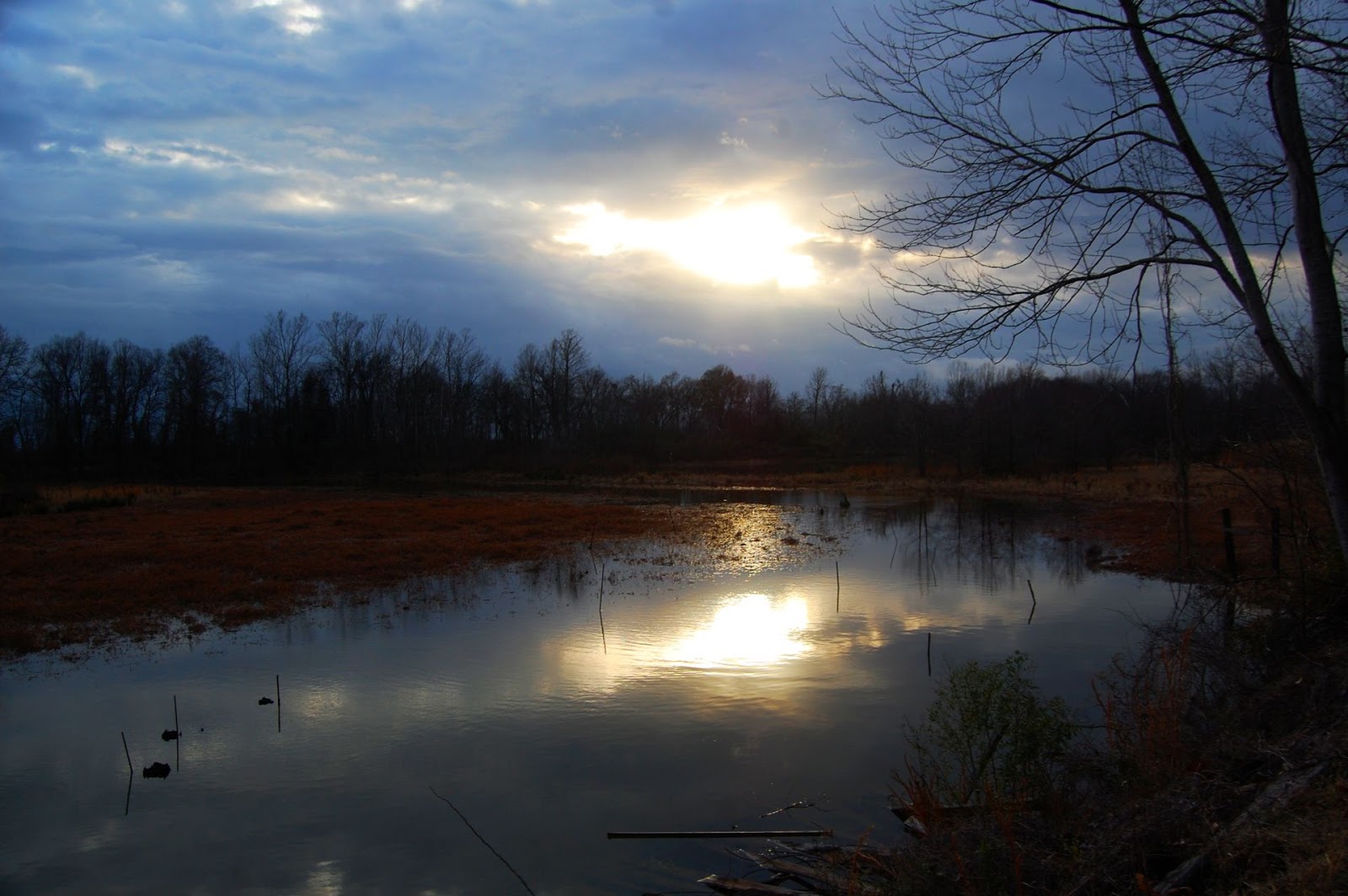 Back in da Delta: Rain Sunday Afternoon in the Country