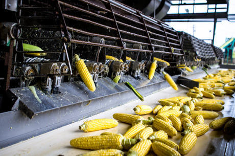 TSP: Charley Henley on How Boredom Can Spur Creativity