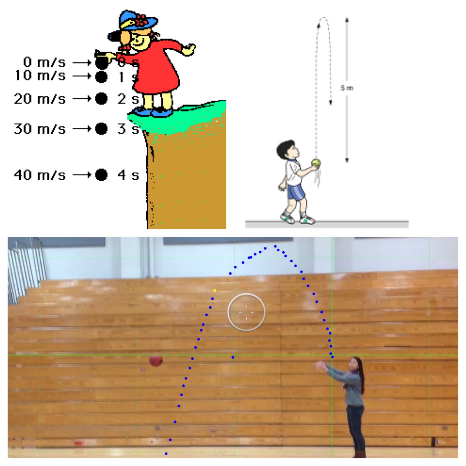 Kimberly Tom Physics: Projectile Motion