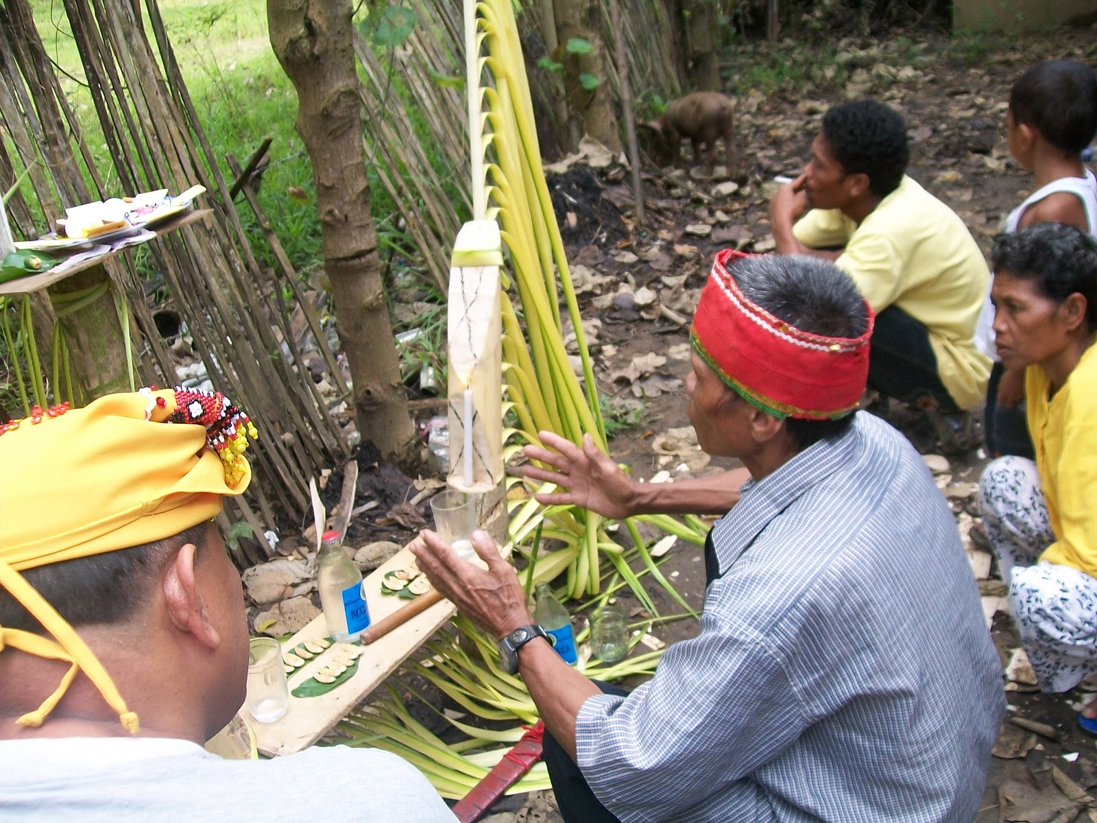 TRIBAL GOVERNMENT OF THE PHILIPPINES: 2010 PANUMAN IN CABADBARAN BY A ...