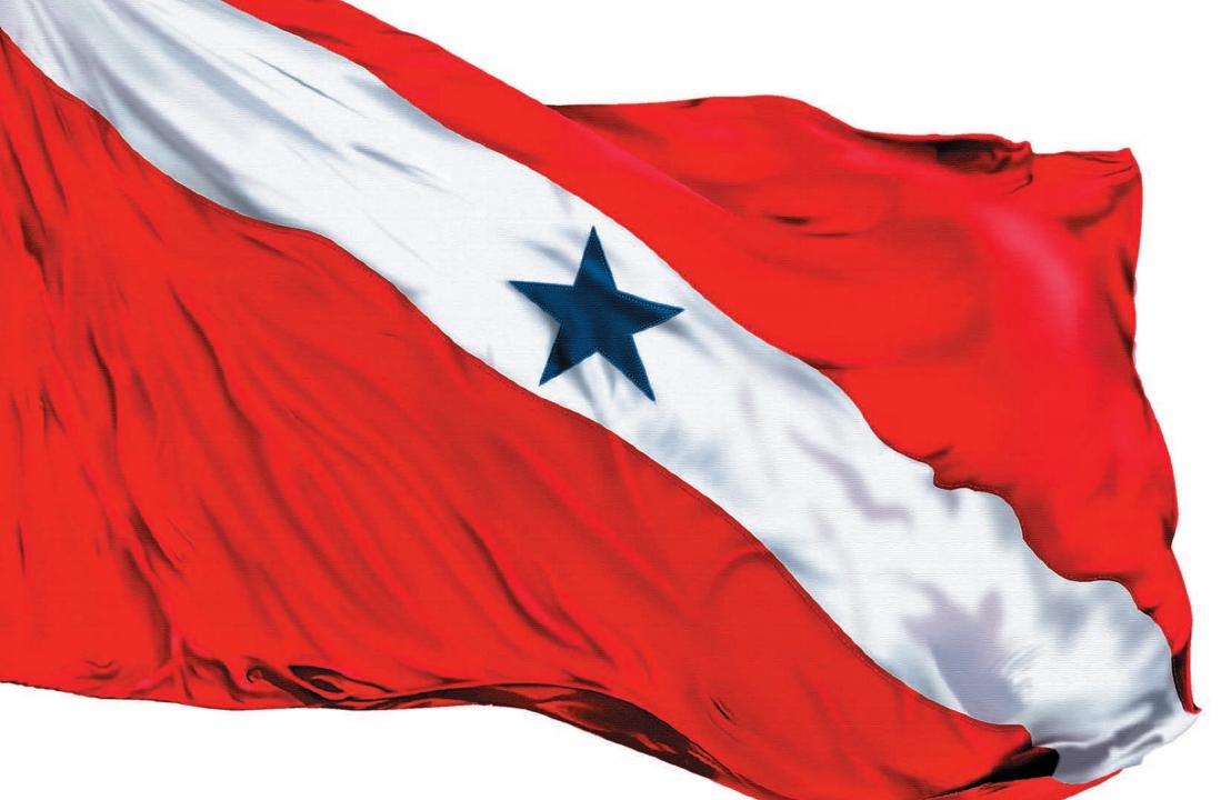Amo SER PARAENSE: Simbolos do Pará - Lute contra a divisão