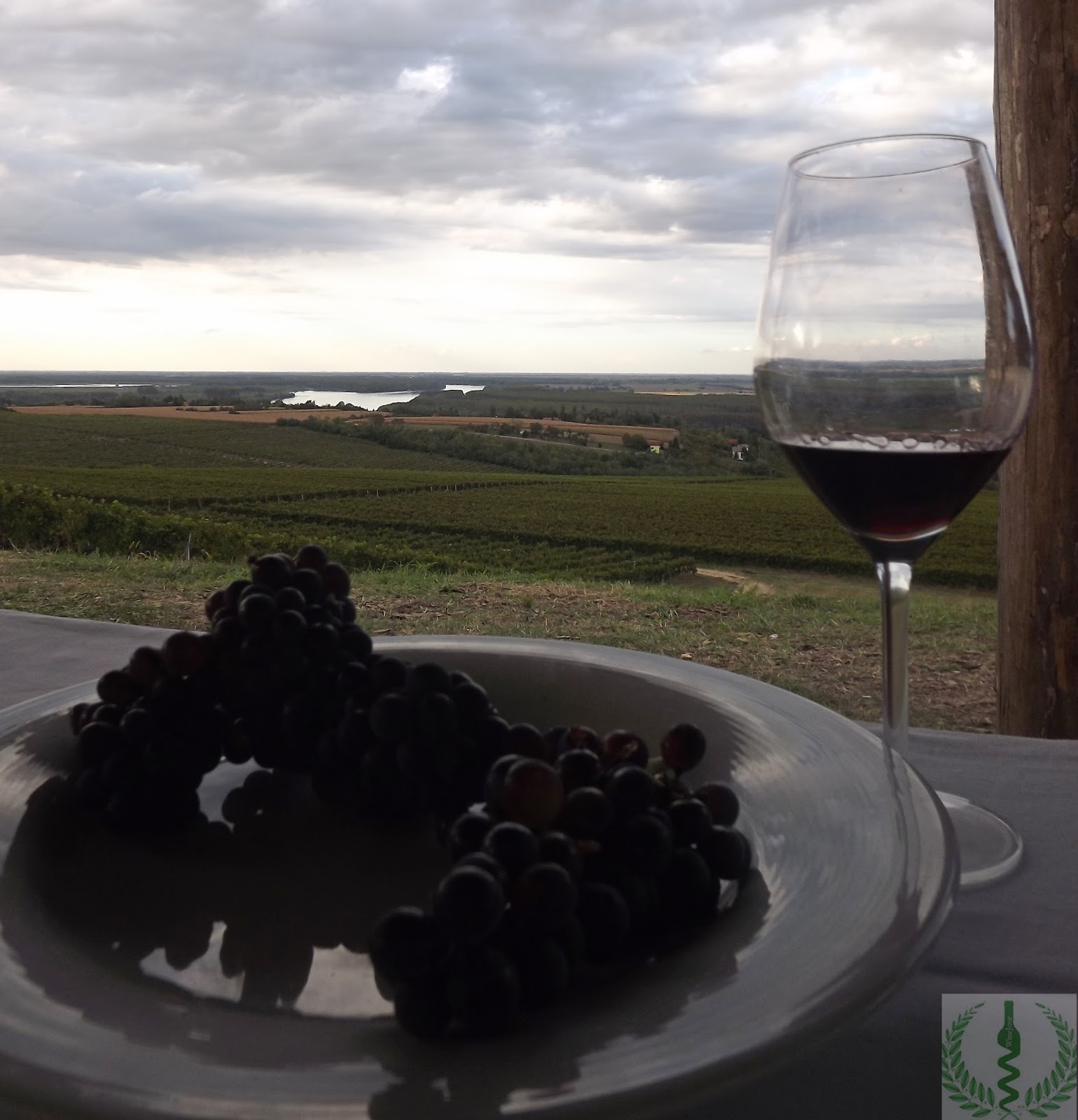 WineJour: Vinarija Fruškogorski vinogradi, Banoštor, Fruška gora ...