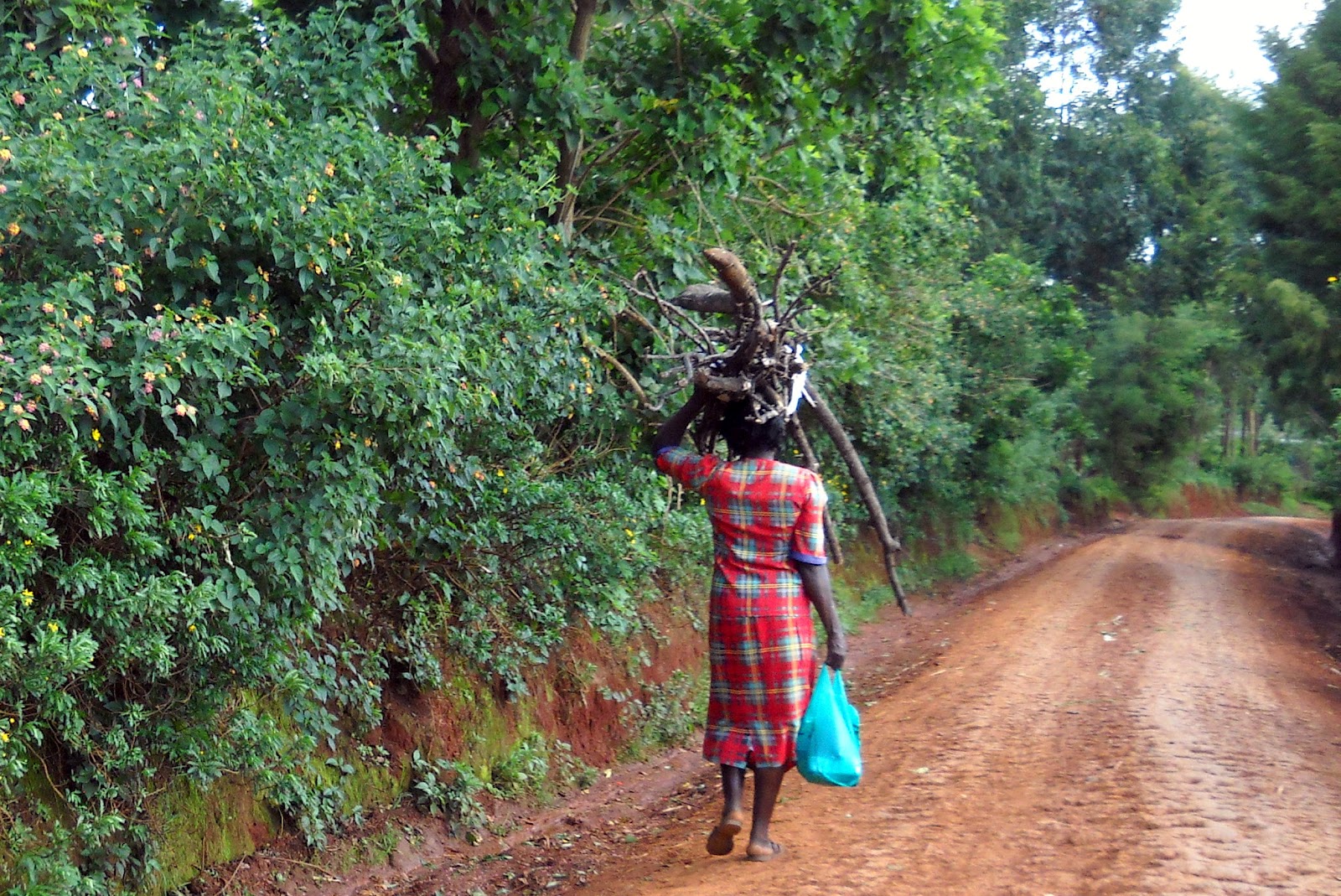 Ministry2Kenya: "Loving my Neighbor": Typical sights in rural Kenya