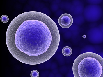 Neocelica - shranjevanje matičnih celic: julij 2012