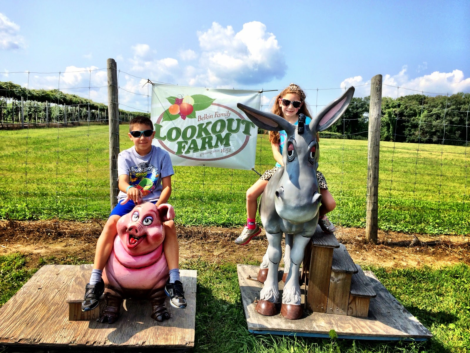 Evan and Lauren's Cool Blog: 8/2/14: Belkin Family Lookout Farm Fun