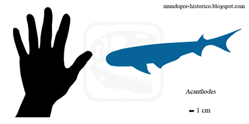 Mundo Pré-Histórico: Acanthodes